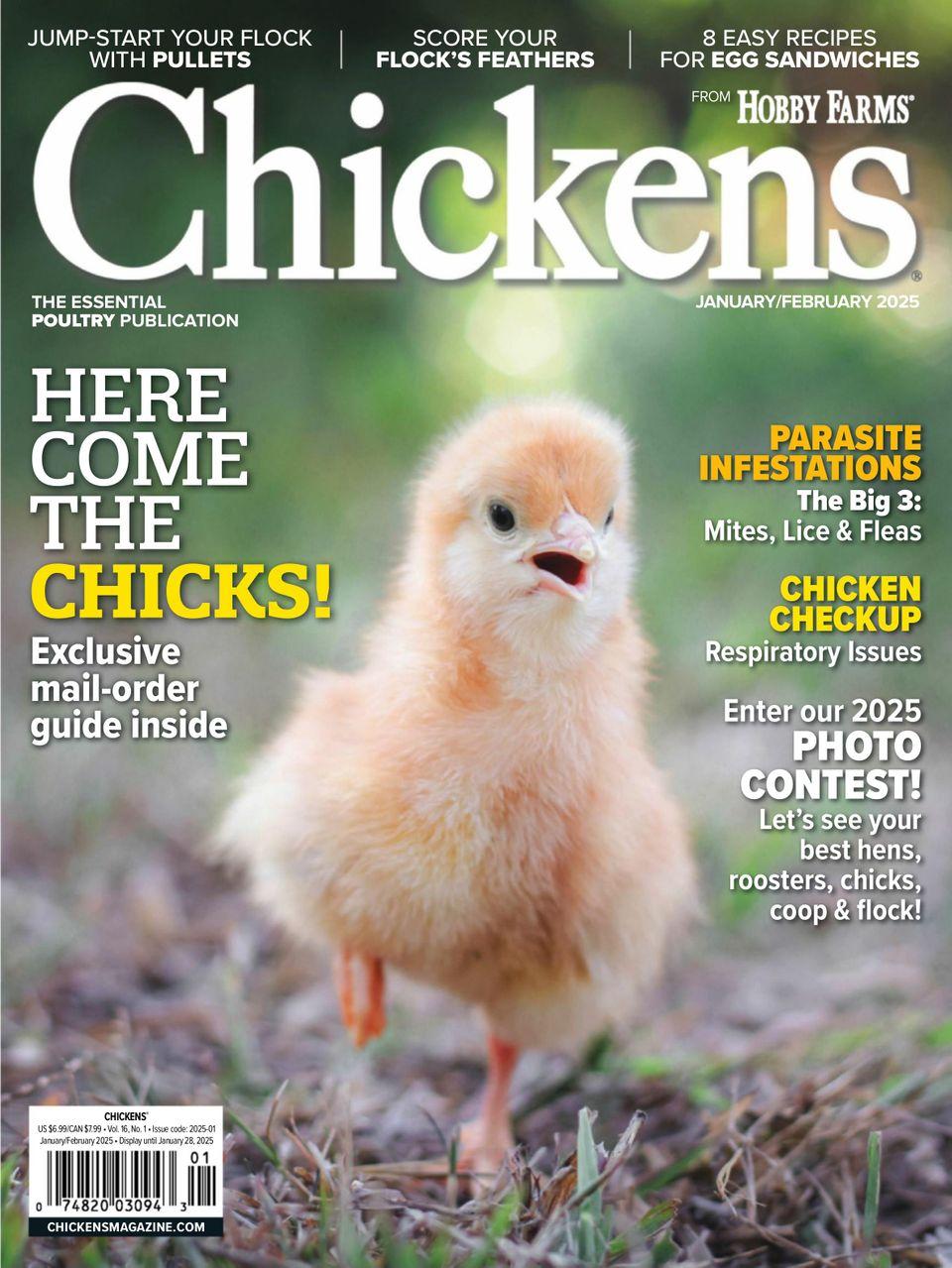 Chickens Magazine Subscription Discount - MagZoom.com