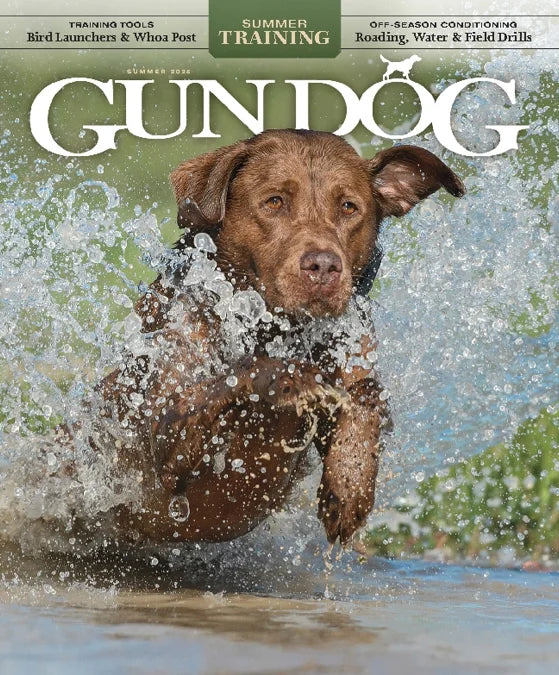 Gun Dog Magazine Subscription Discount - MagZoom.com